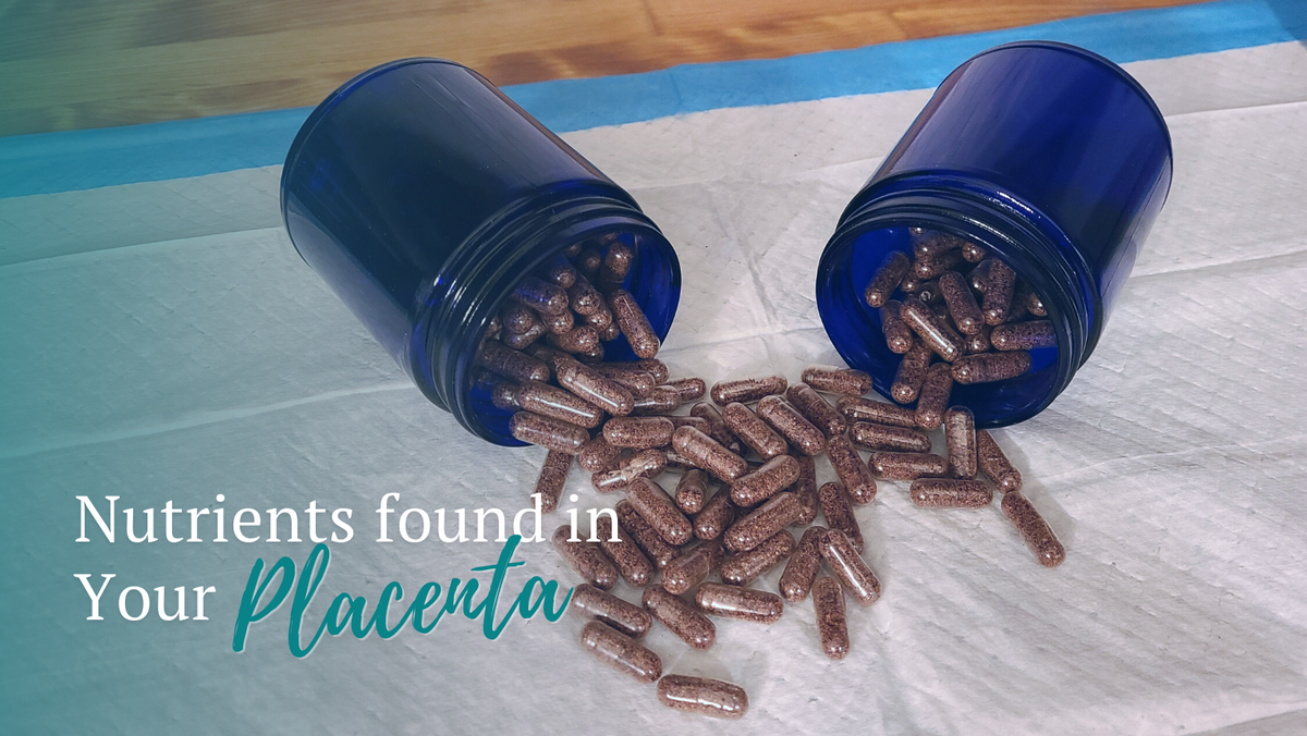 The Nutrients Found in Your Placenta | Stork Helpers